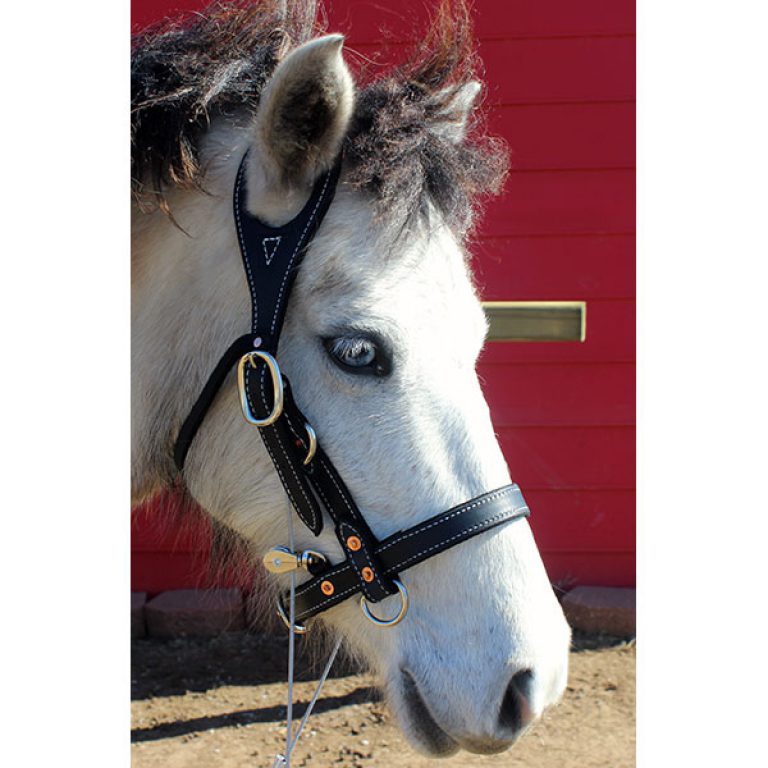 BuckBuster Halter | BuckBuster Tack - The Bucking Stops Here!